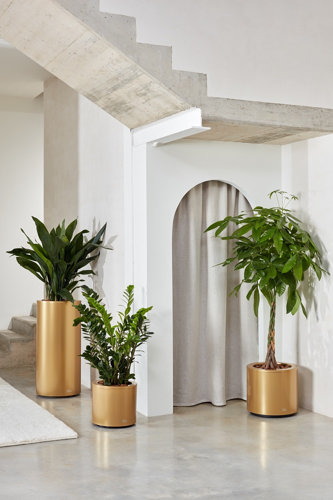 Mueble de España - Products - KAVA hydroplanter